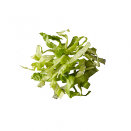 Fish McWrap | Rybacie | McDonald's SK